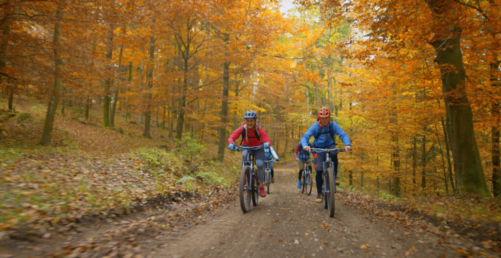 Tips for Safe Cycling in the Fall - Hawk Racing